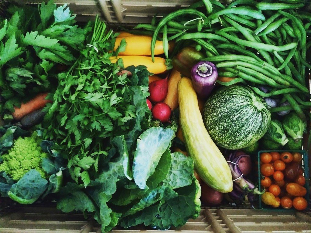 Dealing With Irrigation On A Small Vegetable Farm - Available Ideas